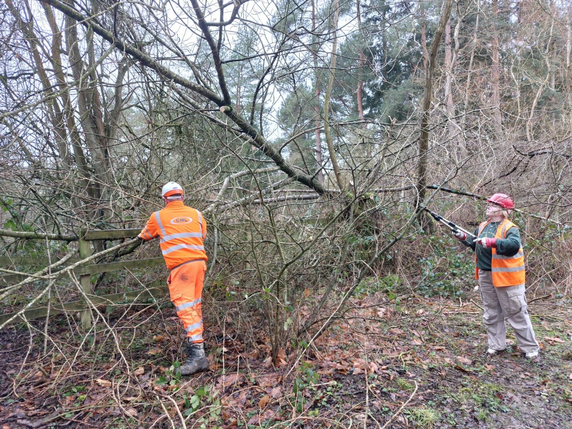 Volunteering with Leeds City Council Nature Conservation team - CML ...